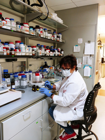 PHOTOS – WINTER LAB